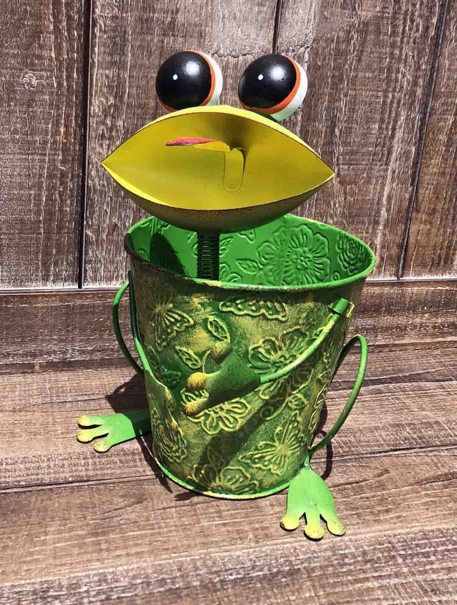 Fun Frog Decor – Gifts from Neverland